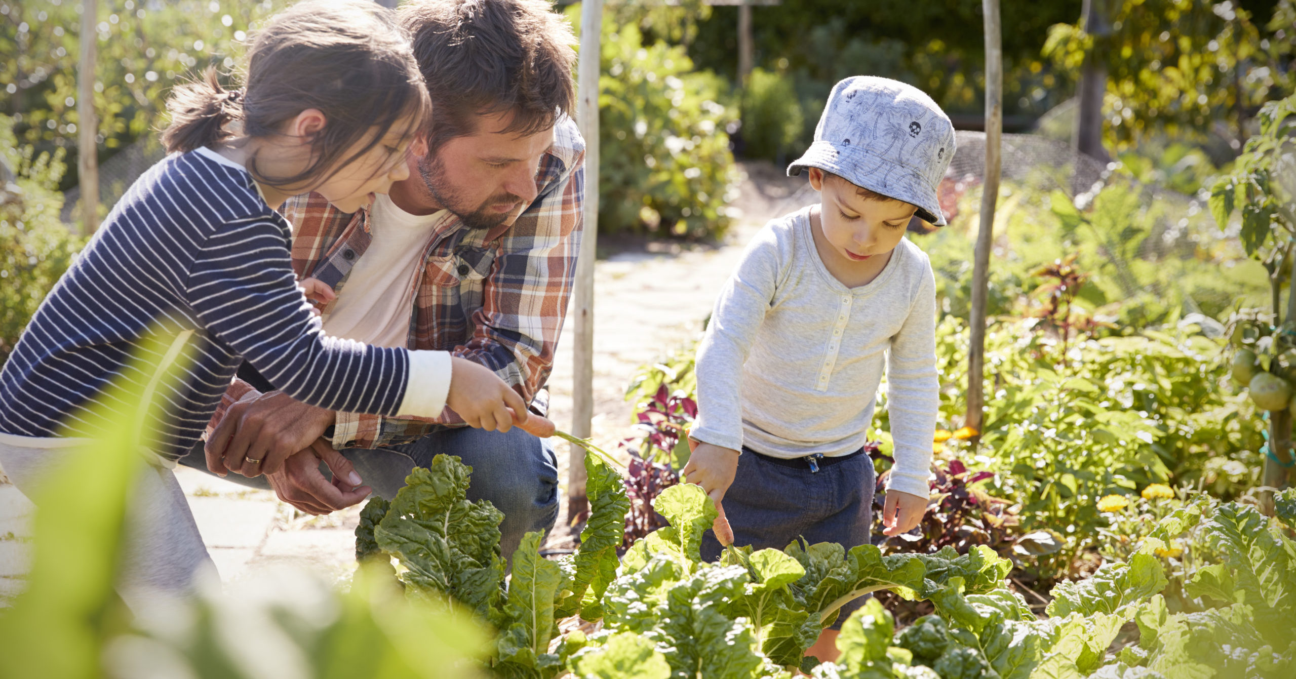 Community welcomes sustainability and climate change strategy